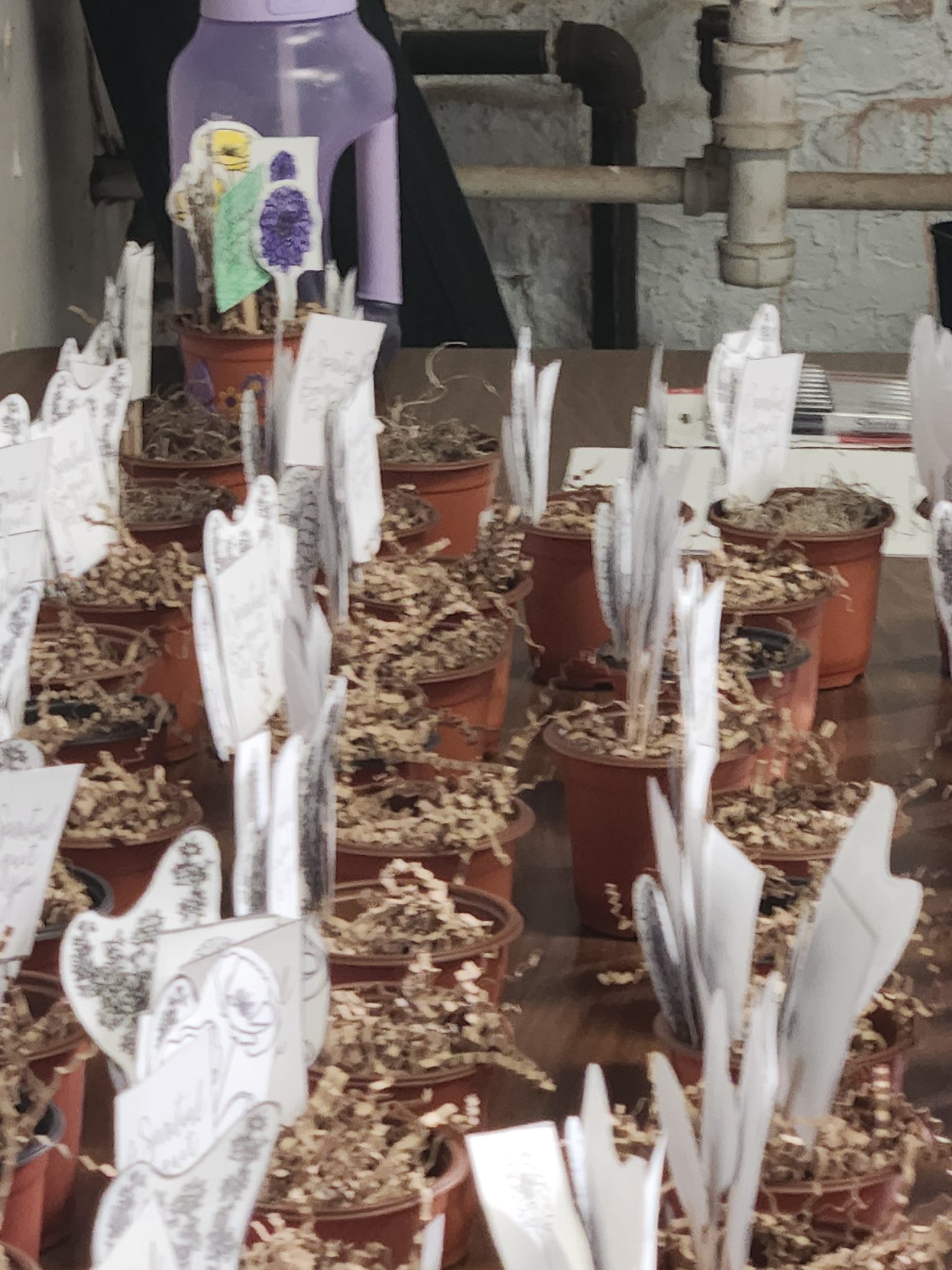 Vocation (Vacation) Bible School June 10 to 14, 2024 – Holy Family Catholic Church – Saginaw, MI